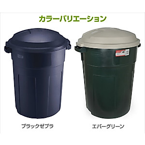 RUBBERMAID FG289487BLAZB Two Roughneck 32 Gallon Trash Cans with Snap On Lids
