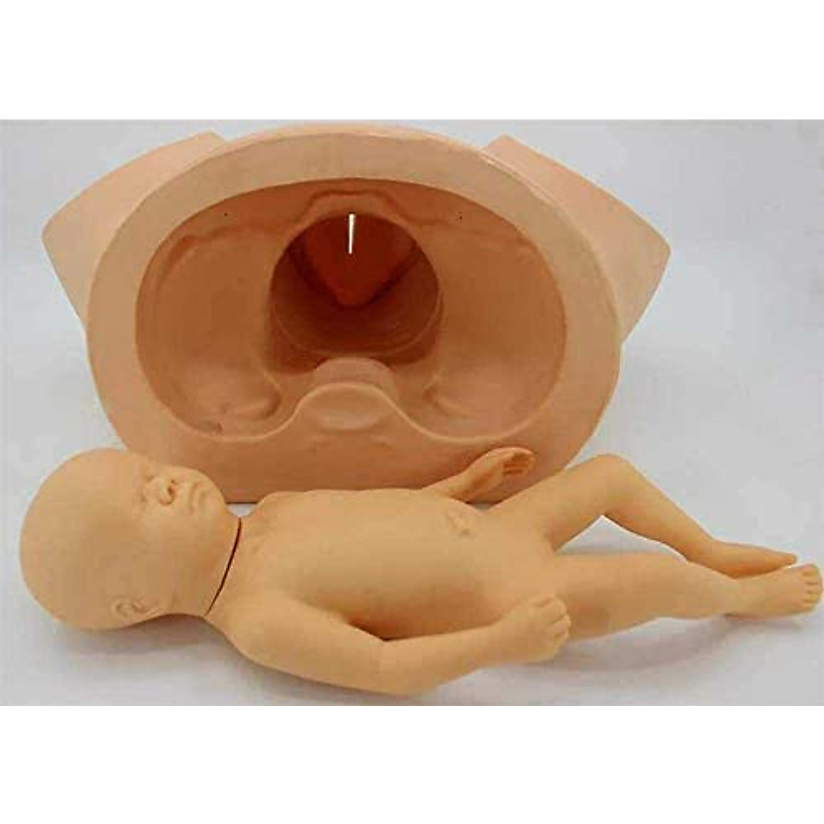 WFZY Demonstration Female Childbirth Manikin Advanced Midwifery Training Model Obstetrics and Gynecology Delivery Maternity Simulator for Nursing Medical Teaching
