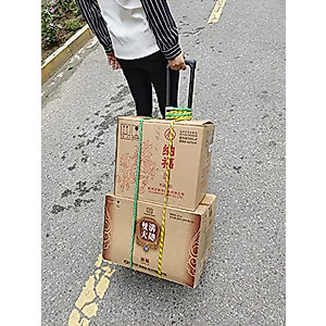 RShop Minisize Luggage Cart with 2 Wheels Lightweight Plastic Carrier Trolley Folding Hand Truck for Shopping Travel, Camping Moving and Office Use (Small Base Plate:12.6 inch X 9 inch), Black (KBGF)