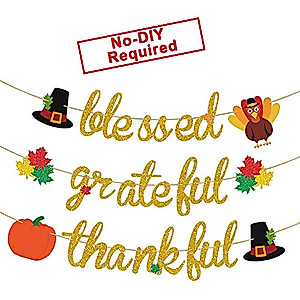 Blessed Thankful Grateful Banner for Thanksgiving Decor, Thanksgiving Banner, Maple Leaves Pumpkin Turkey Bunting Garland for Mantel Fireplace , Thanksgiving Party Home Office Classroom Hanging Decor