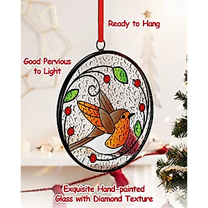 Bird Stained Glass Suncatcher Robin Bluebird Hand Painted Ornament Wall Window Hanging Double Side Redbreast Decor Birthday Lover Gift Box for Mom Grandma Teacher Women Friend with Memorial Card