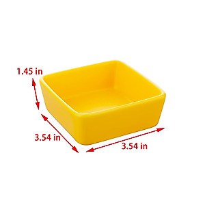 2 Pcs Pet Ceramic Food Bowl and Water Dish Feeder for Guinea Pig Hedgehog Squirrel Small Animals