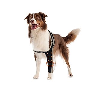 LISPOO Dog Recovery Sleeve Front Leg Prevent Dog from Licking Wound, Dog Leg Sleeve is Made of Yoga Fabric, Dog Dleeve to Prevent Licking is Breathable, Suitable for Summer, Cone Collar Alternative L