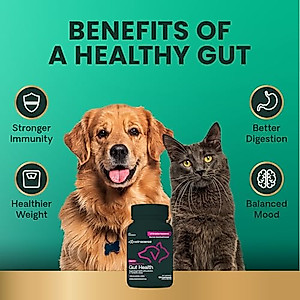 VetriScience Extra Strength Gut Health Easy-Open Capsules, Probiotic & Prebiotic Digestive Supplement for Dogs & Cats, Digestion, Gas & Diarrhea, Immune Support, 7.5 Billion CFU Per Capsule, 120 Count