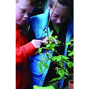 TickleMe Plant Classroom or Homeschool Science Fun Planting Party kit - for 30 Students - Grow The House Plant That Closes Its Leaves When You Tickle It. Includes Activity Book