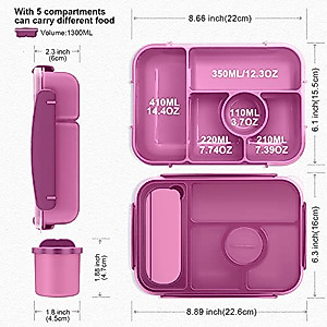 Amathley Bento Lunch box for kids, Adults/Kids/Toddler,5 Compartments with Sauce Vontainers,Microwave & Dishwasher & Freezer Safe, BPA Free(Purple)
