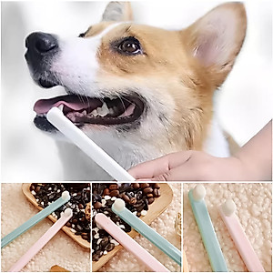 HDFCLUP 4 Pack Pet Dog Toothbrush, Extra Soft Dog & Cat Toothbrushes Dental Cleaning Brushes for Puppy Small Dog and Cat Dogs Teeth Dental Health Kit, White, Pink, Green, Gray