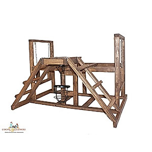 Coops & Feathers Chicken Activity Center-Play, Swing, & Roost-Includes Treat Basket (Small)