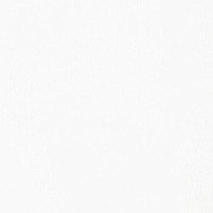 Liquitex BASICS Acrylic Paint, 400ml (13.5-oz) Bottle, Titanium White