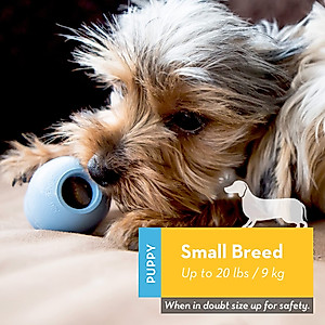 KONG Puppy - Natural Teething Rubber Chew Toy for Dogs - Stuffable Dog Toy for Extended Playtime - Chew & Fetch Toy for Puppies - for Small Puppies - Blue