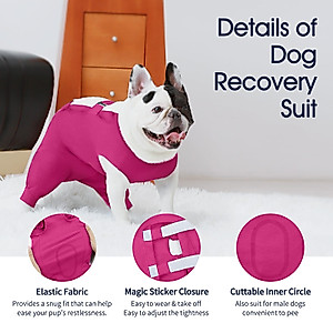 IECOii Pet Surgery Recovery Suit,Breathable Dog Bodysuit E-Collar & Cone Alternative Surgical Suit After Spayed/Neutered Wear,Recovery Suit for Dogs Male Female Sleeve to Prevent Licking,XL-Rosered