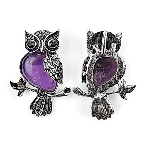 Jovivi Owl Gifts Vintage Owl Necklace Healing Crystals Stone Pendant Necklaces for Women Men Natural Amethyst Gemstone Jewelry Reiki Spiritual Energy Lucky
