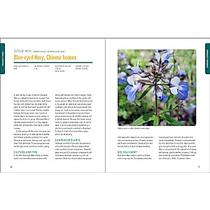 Deer-Resistant Native Plants for the Northeast