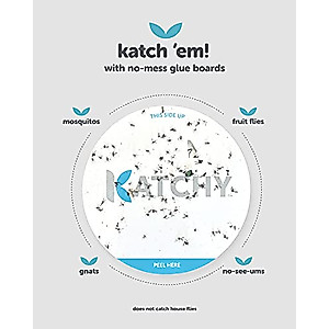 KATCHY Duo Indoor Fruit Fly Trap (White) & 8-Pack Refillable Glue Boards