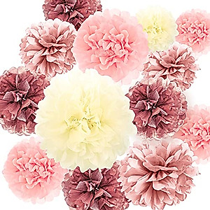 GuoZhiXin Rose Gold 30th Birthday Party Decorations , Rose gold Glittery Happy 30th Birthday Banner,Poms,Sparkling Hanging Swirls Kit for 30th Birthday Party Supplies