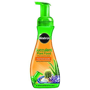 Foaming Succulent Plant Food, 8-oz.