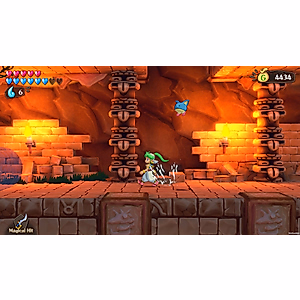 Wonder Boy: Asha In Monster World (Nintendo Switch)
