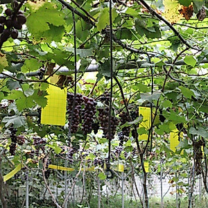 Faicuk Yellow Dual-Sided Sticky Fly Traps for Plant Insect Like Aphids, Fungus Gnats, Leaf Miners and White Flies (10 Pack)