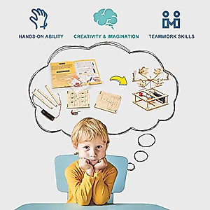 16 in 1 STEM Kits for Kids Ages 6-8-10-12, DIY Stem Craft Projects, Kids Wood Building Toys, Wooden 3D Puzzles Model Kit for Boys to Build,Educational Science Set for Age 6 7 8 9 10 11 12 Year