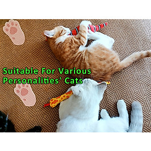 RUNLY Large Catnip Cat Toys 3PCS, Flipper Flopper Cat Toy Perfectly Caters Cat's Natural Instinct to “Rabbit Kick”, Cat Toys with Catnip for Indoor Cats, Cute Cat Toys with Well-fed Snake Shape