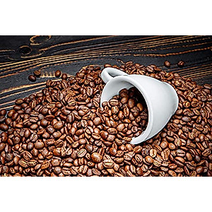 CUISINOX Cusinox White Porcelain Espresso Cup Sets for Espresso Coffee, 2 Oz