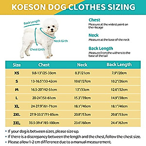 KOESON Dog Recovery Suit, Surgery Recovery Suit for Female Dogs Spayed Dog Cone Alternative After Surgery, Dog Post Surgery Suit Anti Licking & Biting Surgical Shirt with Pee Hole Rabbit XL