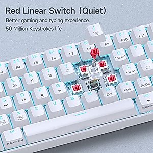 DIERYA DK61SE 60% Mechanical Gaming Keyboard, 61 Keys Anti-Ghosting, LED Backlight, Detachable USB-C, Ultra-Compact Mini Wired Keyboard with Red Linear Switch for Windows Laptop PC Gamer Typist