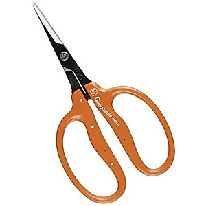 Professional horticultural Flower thinning scissors and vegetables 155mm B-500H