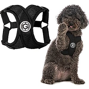 Gooby Comfort X Step in Harness - Black, X-Large - No Pull Small Dog Harness Patented Choke-Free X Frame - Perfect on The Go Dog Harness for Medium Dogs No Pull or Small Dogs