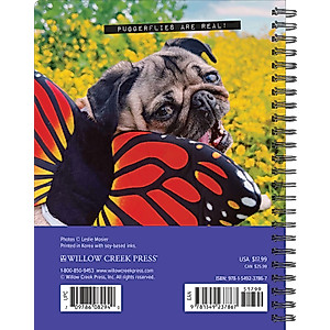 Willow Creek Press Doug the Pug Softcover Weekly Planner 2024 Spiral-Bound Engagement Calendar (6.5" x 8.5")