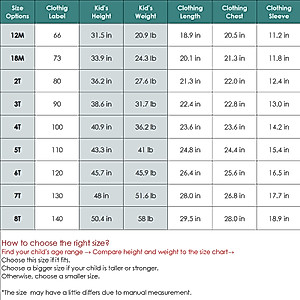 Curipeer Baby Girls Long Sleeve Floral Dress Flower Printed Smock Toddler Ruffle Dress for Autumn and Spring Blue 12M