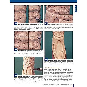Power Carving Manual, Second Edition: Tools, Techniques, and 22 All-Time Favorite Projects (Fox Chapel Publishing) Step-by-Step Projects and Photos, Buyer's Guide, Expert Information, and Inspiration