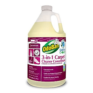 OdoBan Professional Series Cleaning 3-in-1 Carpet Cleaner Concentrate, 1 Gallon & Professional Cleaning Ready-to-Use BioStain and Odor Remover, 1 Gallon