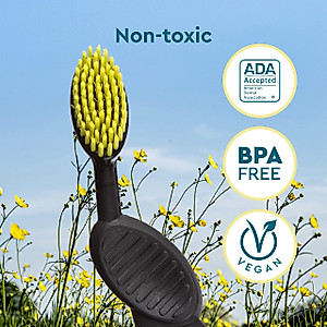 RADIUS Flex Brush with Soft Bristles Toothbrush BPA Free & ADA Accepted Designed to Improve Gum Health & Reduce Issues - Right Hand - Black/White - Pack of 1