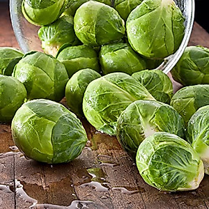 The Old Farmer's Almanac Heirloom Brussels Sprouts Seeds (Long Island Improved) - Approx 700 Seeds - Non-GMO, Open Pollinated, USA Origin