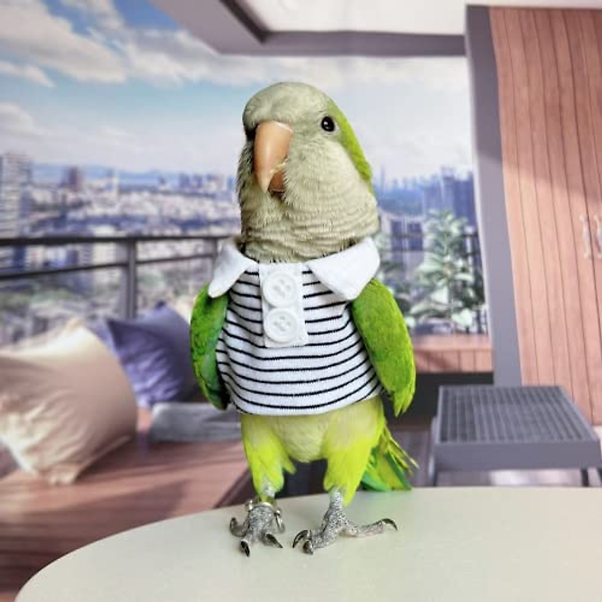Bird Costume Bird Diaper Flight Suit Bird Summer Clothes Cosplay Photo Prop for Parrots Lovebird Parakeet Cockatiel Small Animals Apparel (Without Diaper,Green-cheeked Conure)