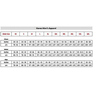 Champion Men's Hoodie, Powerblend, Fleece Striped Sweatshirt for Men (Reg. or Big & Tall)