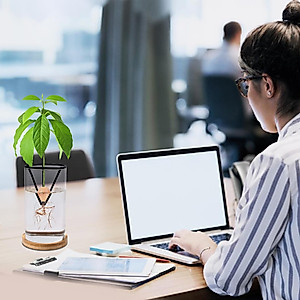 Bylion Avocado Tree Growing Kits, Avocado Growing Vase Wooden Base Avocado Seed Starter Vase Glass Plant Pot Easy Seed Sprout Starter Gift for Women Gardening Lovers Home Office Table Decoration