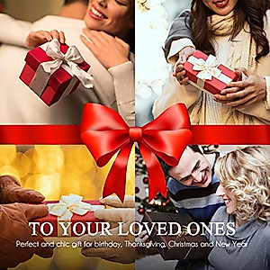 Ampersand Shops Elegant Jewelry Chest Box Storage Organizer with Mini Drawers and Mirror for Rings, Earrings, Bracelets and Necklaces (White))