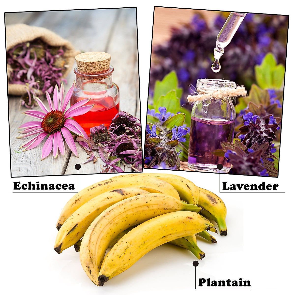 Lia's Naturals Skin Ointment & Diaper Rash Cream 100% Organic Clinically Tested