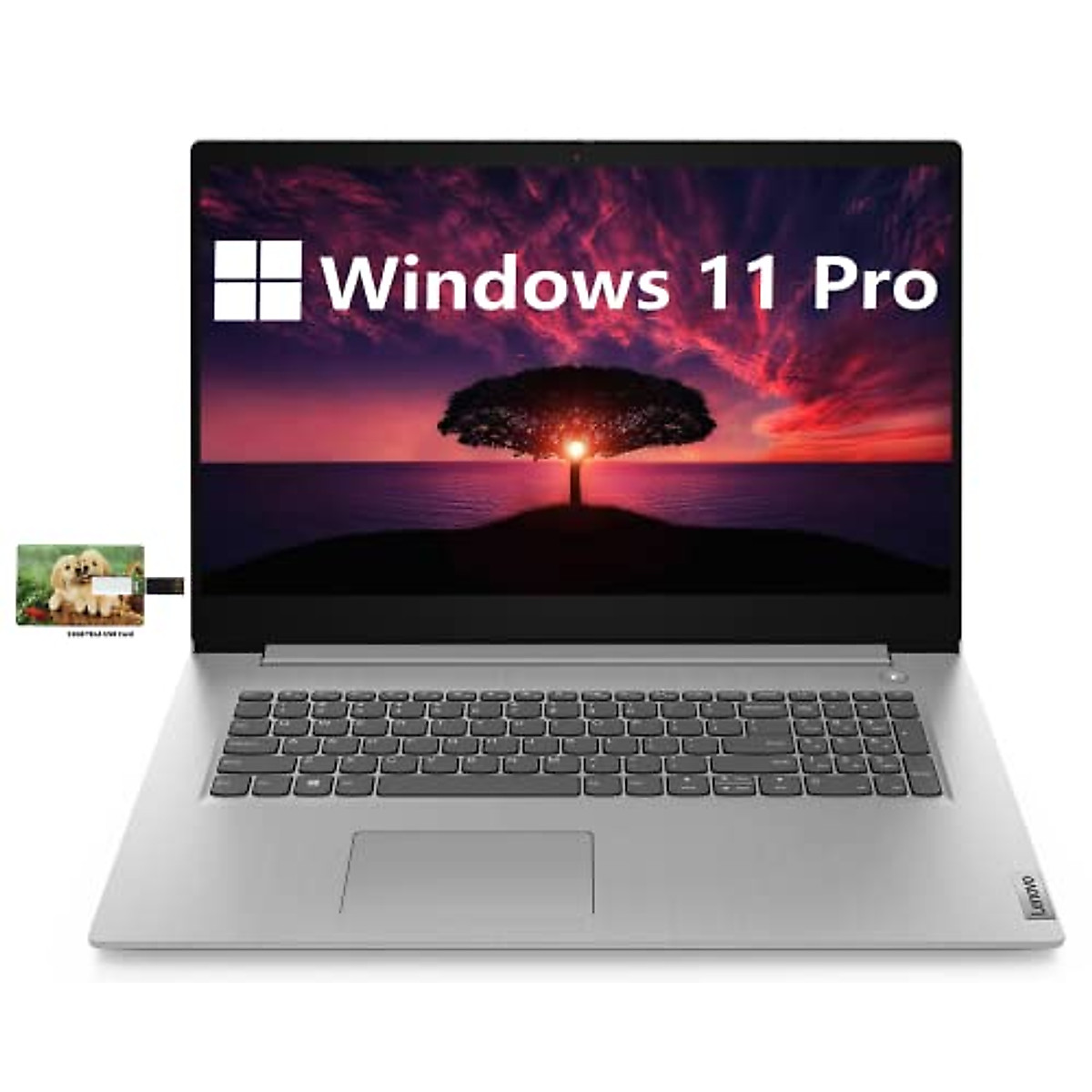 New Lenovo IdeaPad 3 Business Laptop, 17.3" HD Display, Core i5-1035G1, Windows 11 Pro, 12GB RAM 512GB SSD, 32GB Tela USB Card
