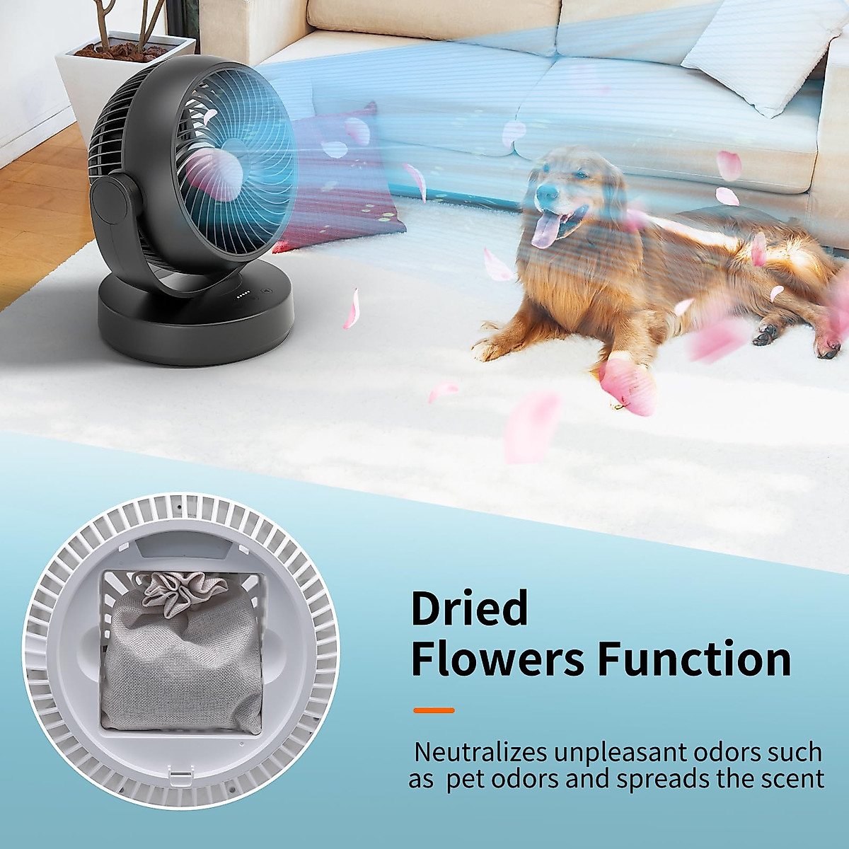 HandFan 9-Inch Air Circulator Fan with 110-Degree Tilt Head and 5 Speed Settings, Fans for Home Bedroom, 70ft Strong Airflow, Aroma Function, 5 Timer Settings Ultra Quiet (30 dB), Black(AC Power)