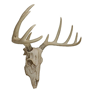 Ebros Gift Rustic Hunter Deer 10 Point Buck Skull Trophy Antlers Wall Mounted Plaque Trophy Decor Figurine 14.25" Long Hunter's Antler Rack Theme Deers Bucks Hunting Skulls Trophies Hanging Sculptures