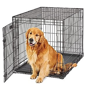 MidWest Homes for Pets Large Dog Crate | MidWest Life Stages Folding Metal Dog Crate | Divider Panel, Floor Protecting Feet, Leak-Proof Dog Pan | 42L x 28W x 31H Inches, Large Dog