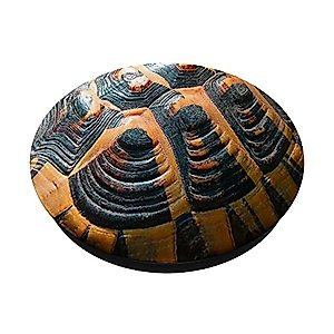 Reptiles Design Image Patterns Turtles PopSockets Swappable PopGrip