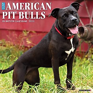 Just American Pit Bull Terriers 2021 Wall Calendar (Dog Breed Calendar)