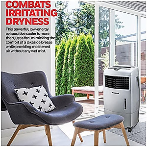 Honeywell 500 CFM Indoor Outdoor Portable Evaporative Cooler, Fan, & Humidifier with Remote Control