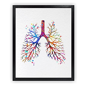 Dignovel Studios 8X10 Unframed Lung Anatomy Human Body Watercolor Art Print Poster Medical Science Housewarming Wall Art Giclee Office Home Decor DN541