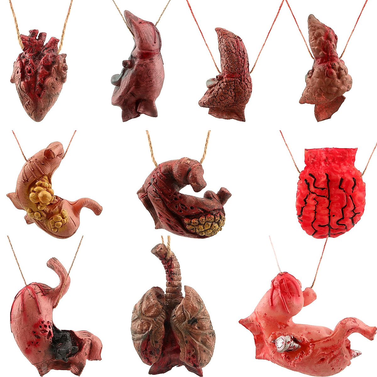 Cagemoga 10 Pieces Halloween Blood Body Parts Realistic Scary Fake Lung Liver Stomach Heart Brain Organs Props for Halloween Prank Props Haunted House Vampire Zombie Party Decorations