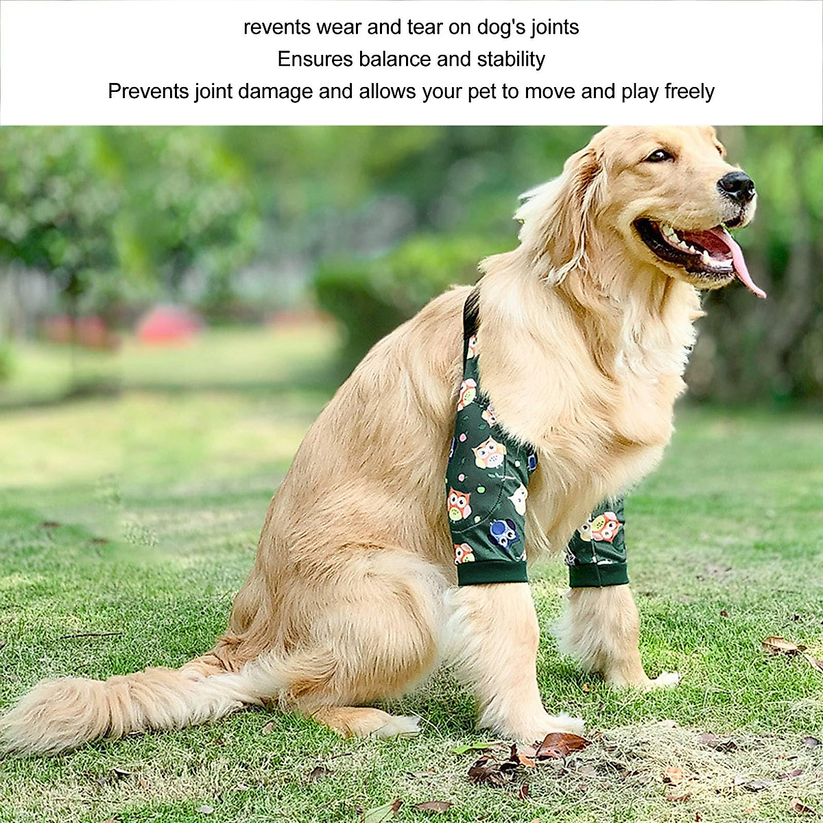 AYNEFY Dog Front Legs Recovery Suit,Soft Dog Protective Elbow Braces Dog Recovery Sleeves After Surgery with Elastic Band for Pet Wounds Prevent Licking Bite Being Wet and Infected (XL)